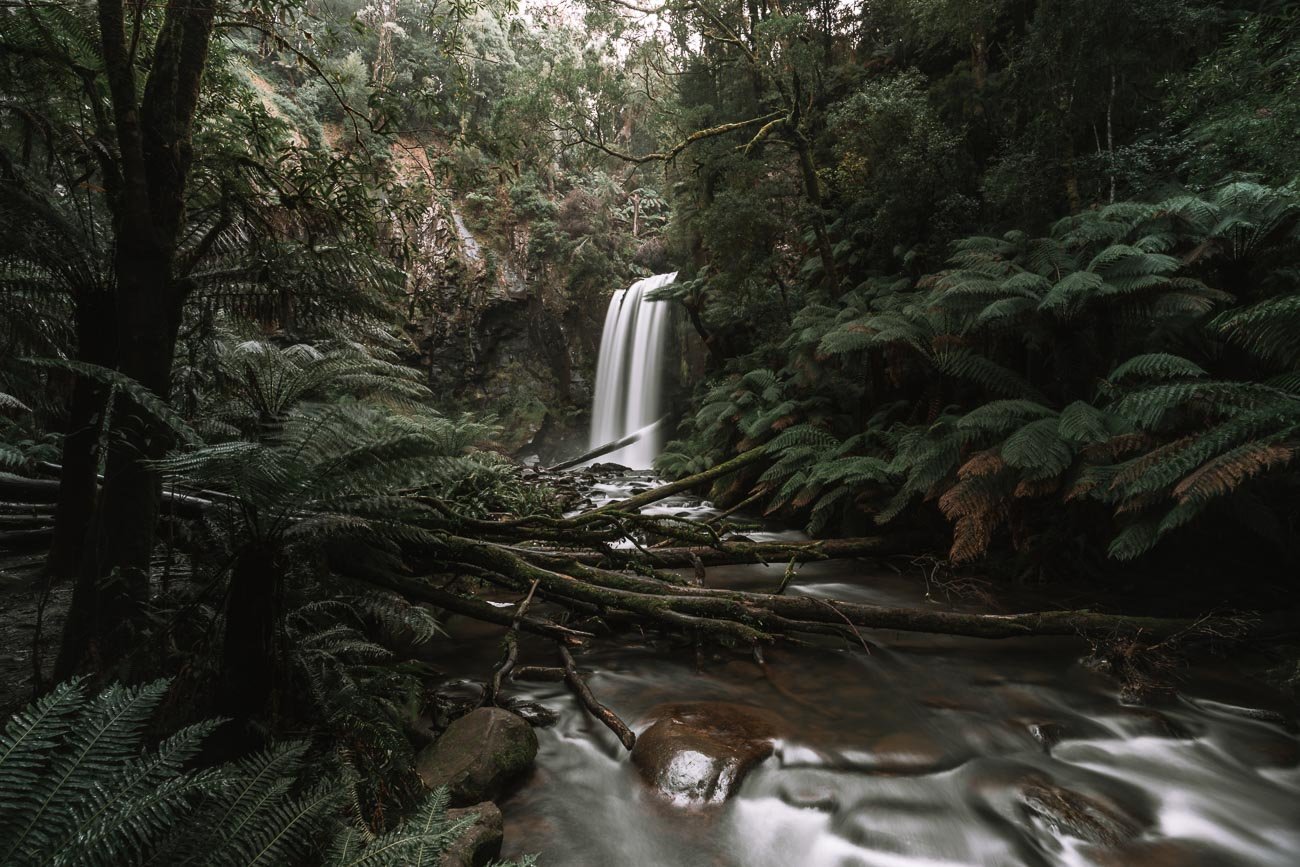 9 Amazing Waterfalls In The Great Otway National Park