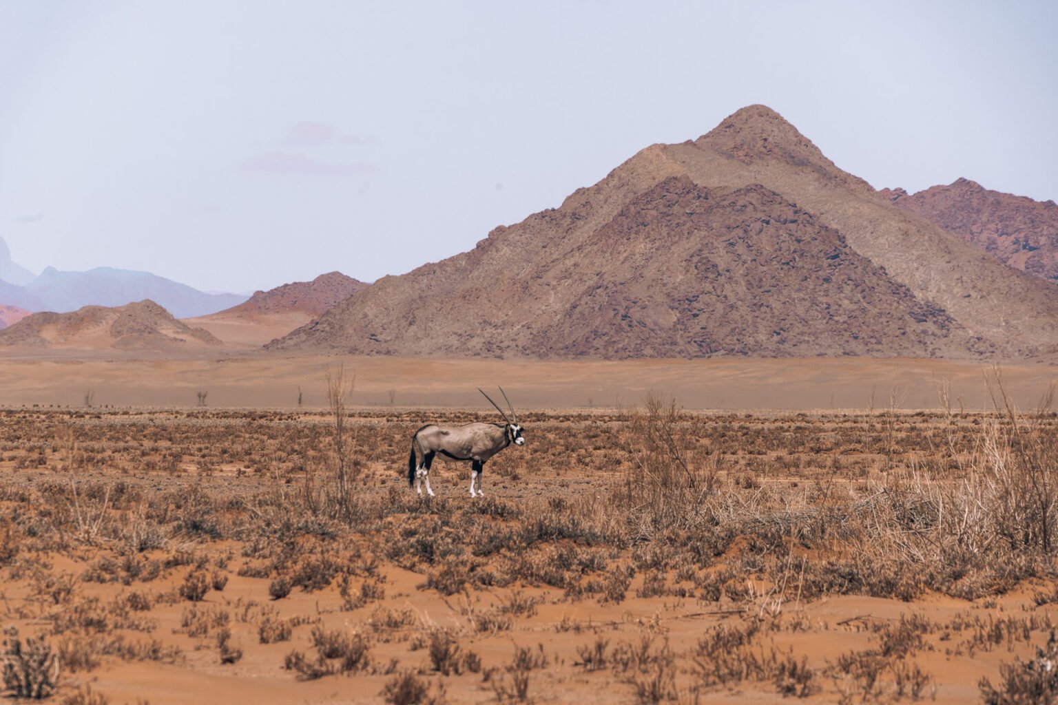 Self-drive Namibia: Budget for 2 weeks camping in Namibia